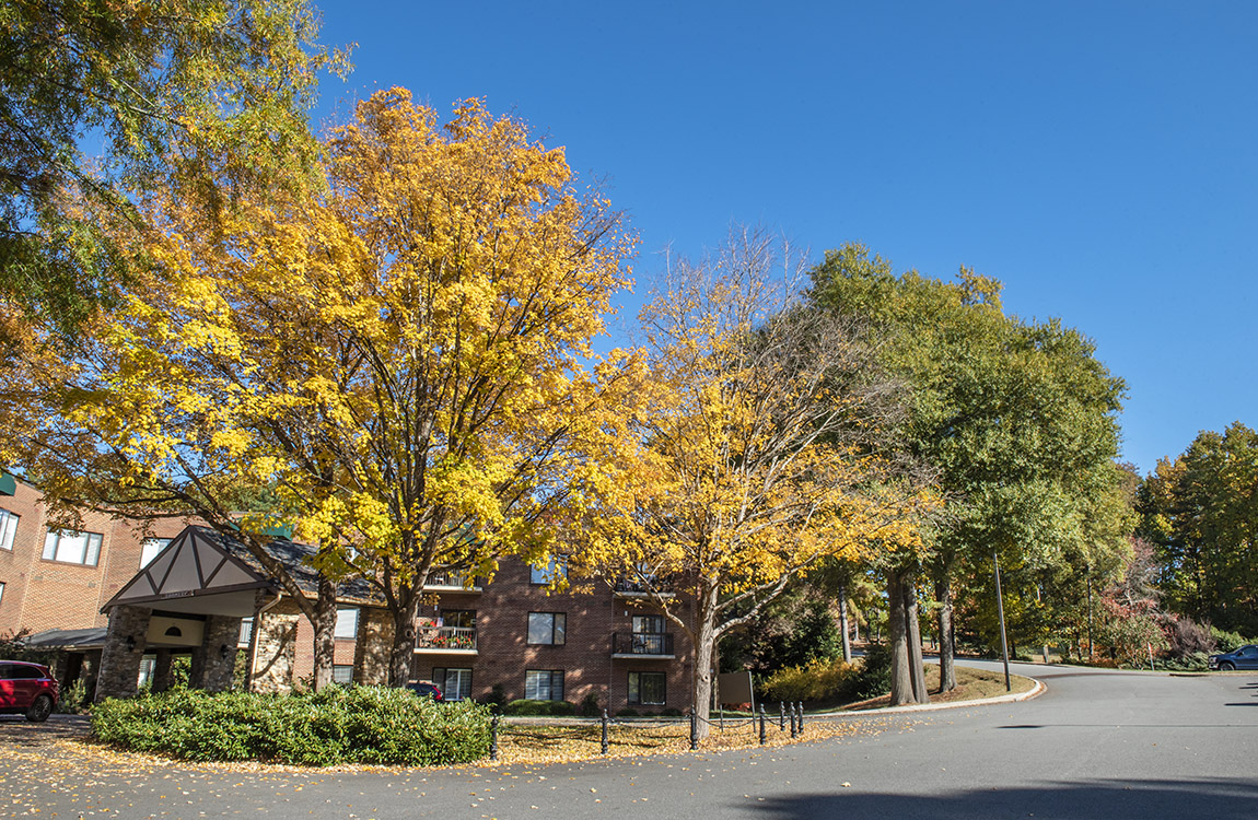 Lifestyle & Wellness – Covenant Village – Gastonia, NC